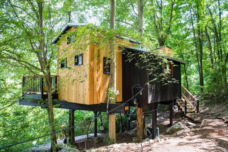 5 best tree-houses camping in US For Weekend Travel